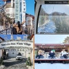 모나 용평리조트 눈썰매장 발왕산 케이블카 겨울 여행 네이버 블로그